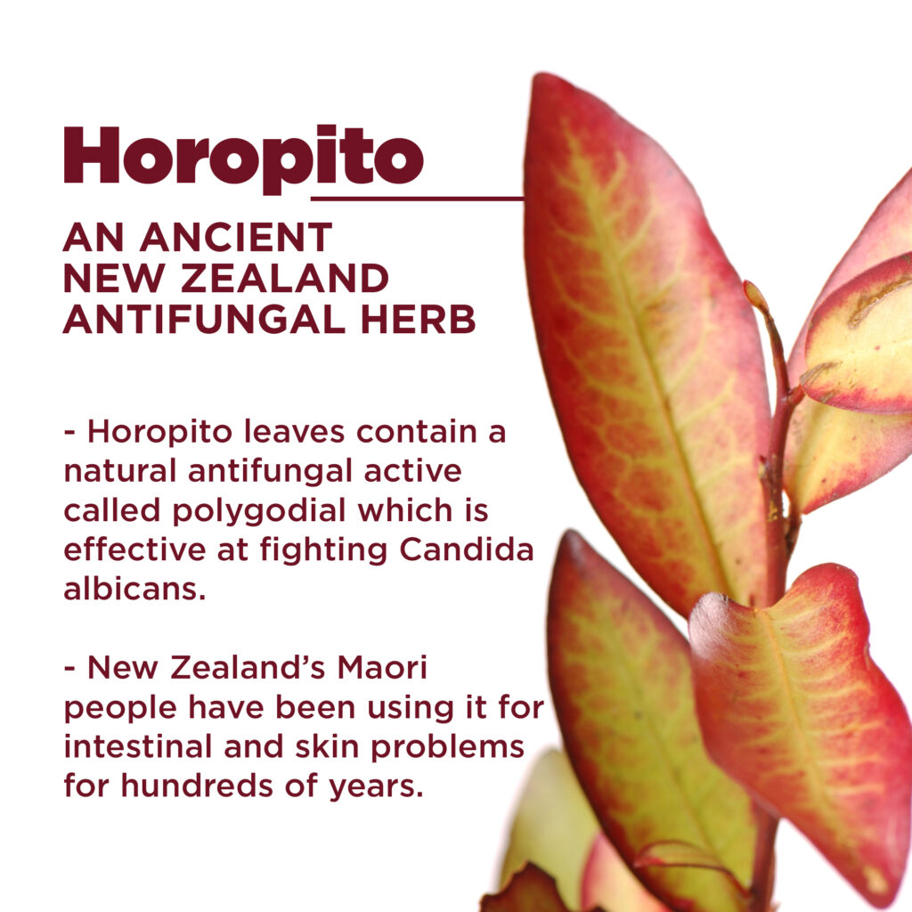 Kolorex for Candida, rashes, yeast, fungal & bacterial infections.
