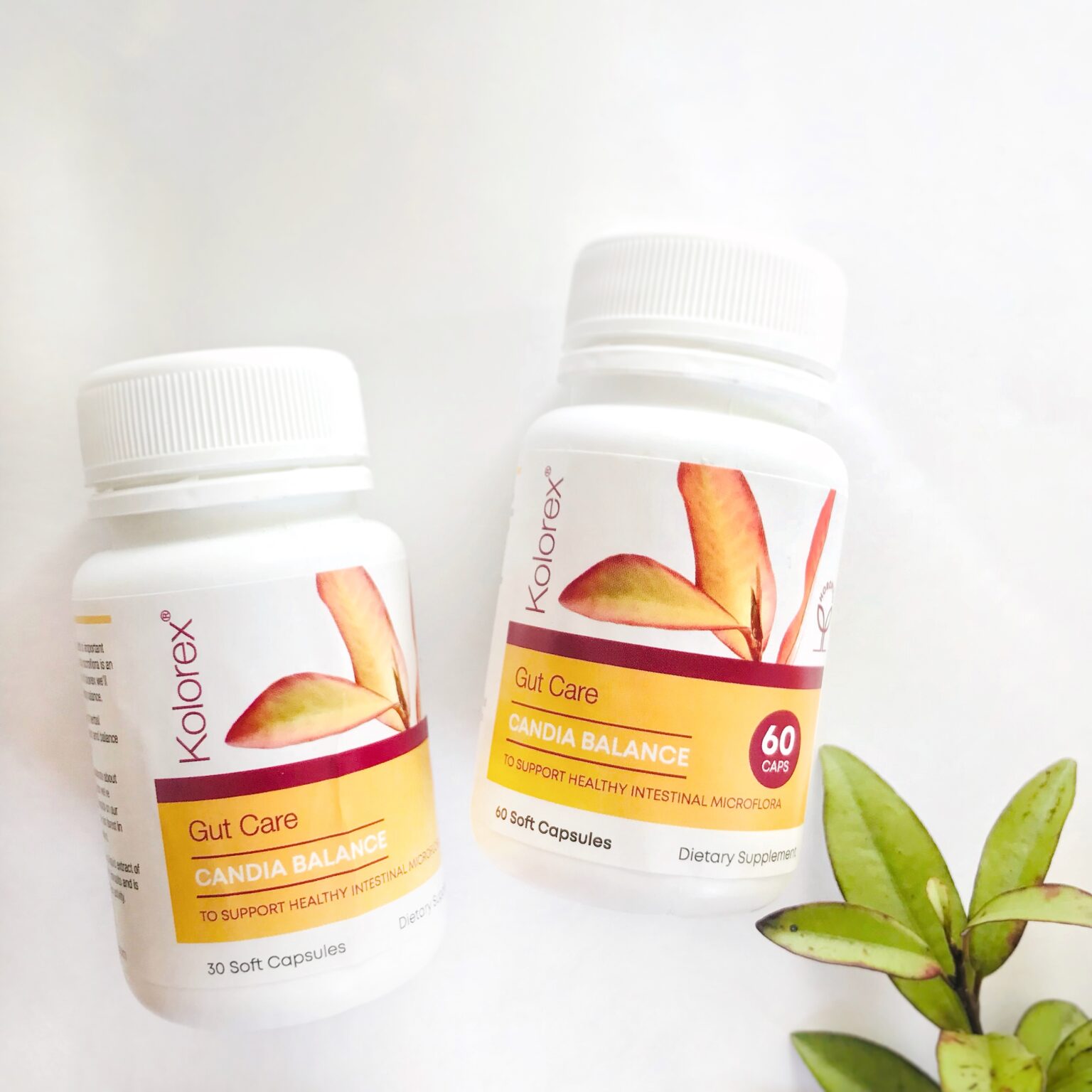 Nature's Sources AbsorbAid Digestive Enzymes & Kolorex Candida Care